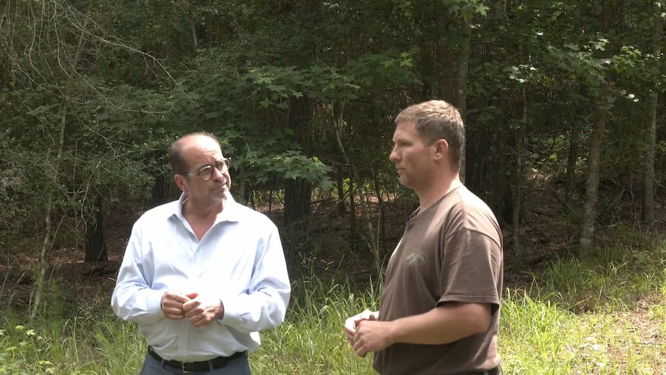 The Road To Ruin – Dolcefino Media